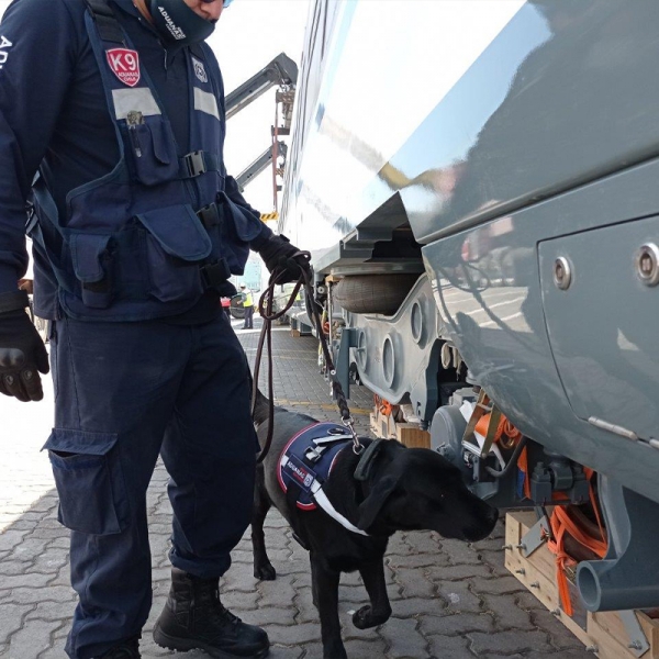 Entre el 2019 y 2021 canes detectores de Aduanas han protagonizado la incautación de 700 kilos ...